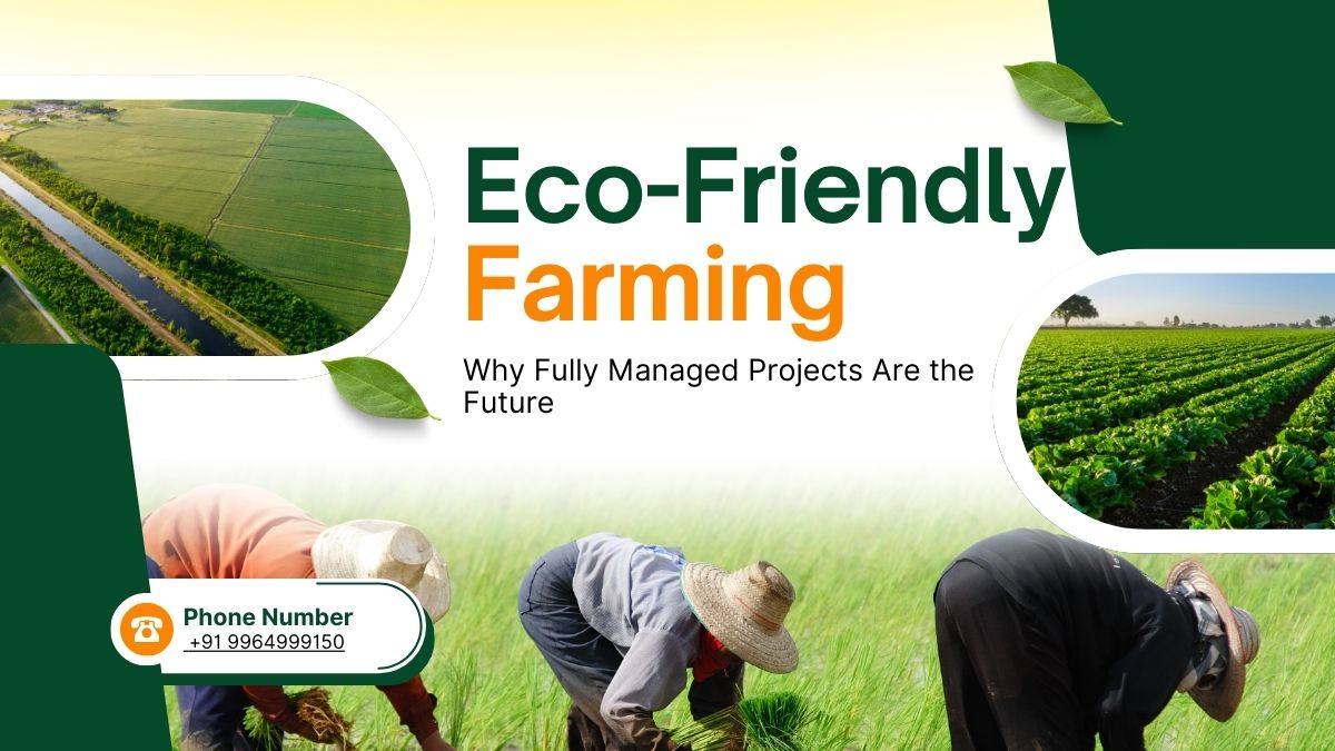 Fully Managed Projects: The Future of Eco-Friendly Farming